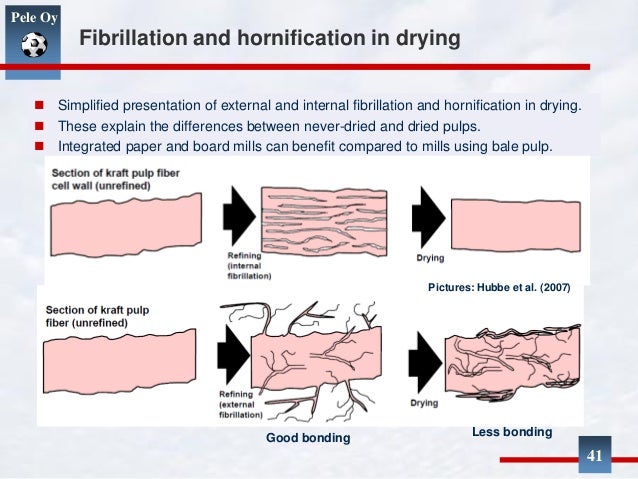 Processes Fibers Definition
