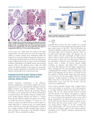 Journal of Pathology | PDF | Cameras and Camcorders | Consumer Electronics