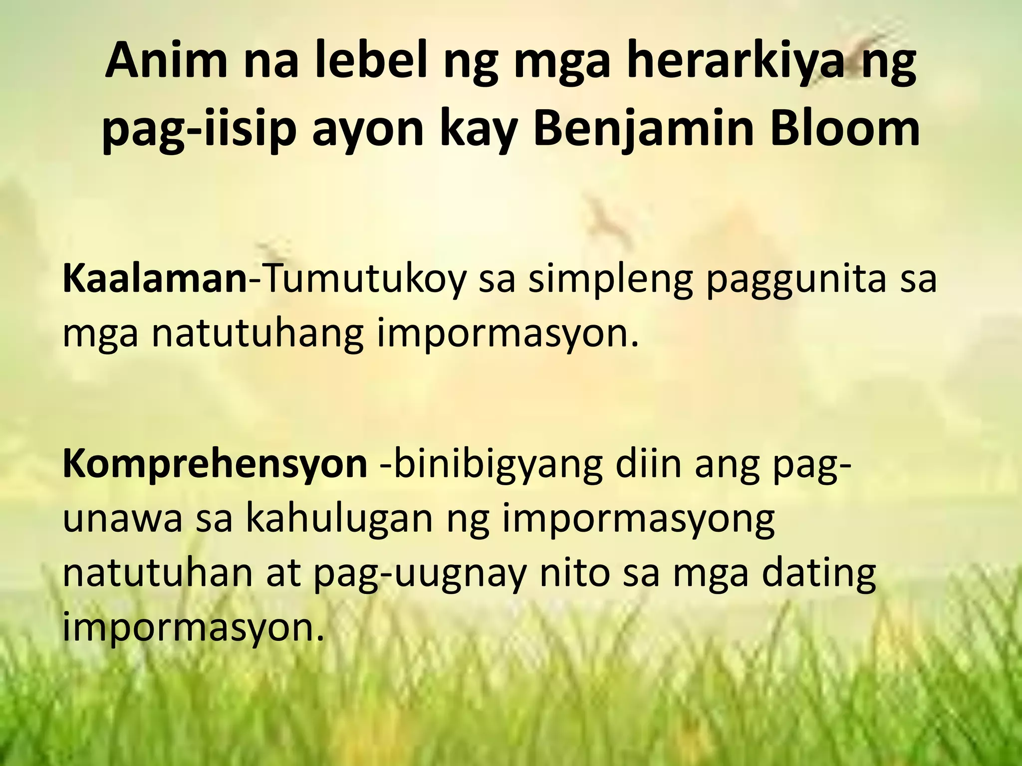 373679462-Mga-Domeyn.pptx