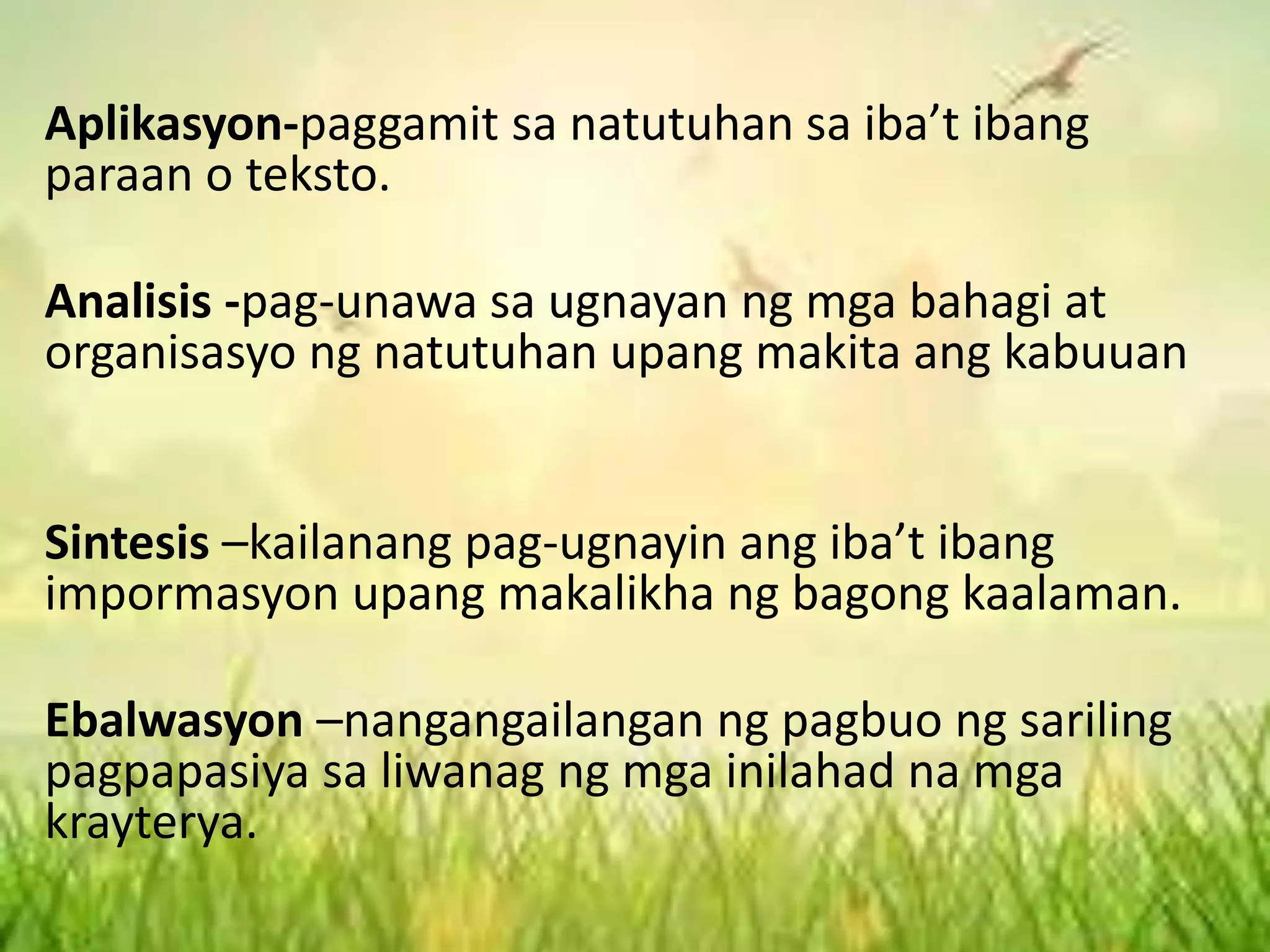 373679462-Mga-Domeyn.pptx