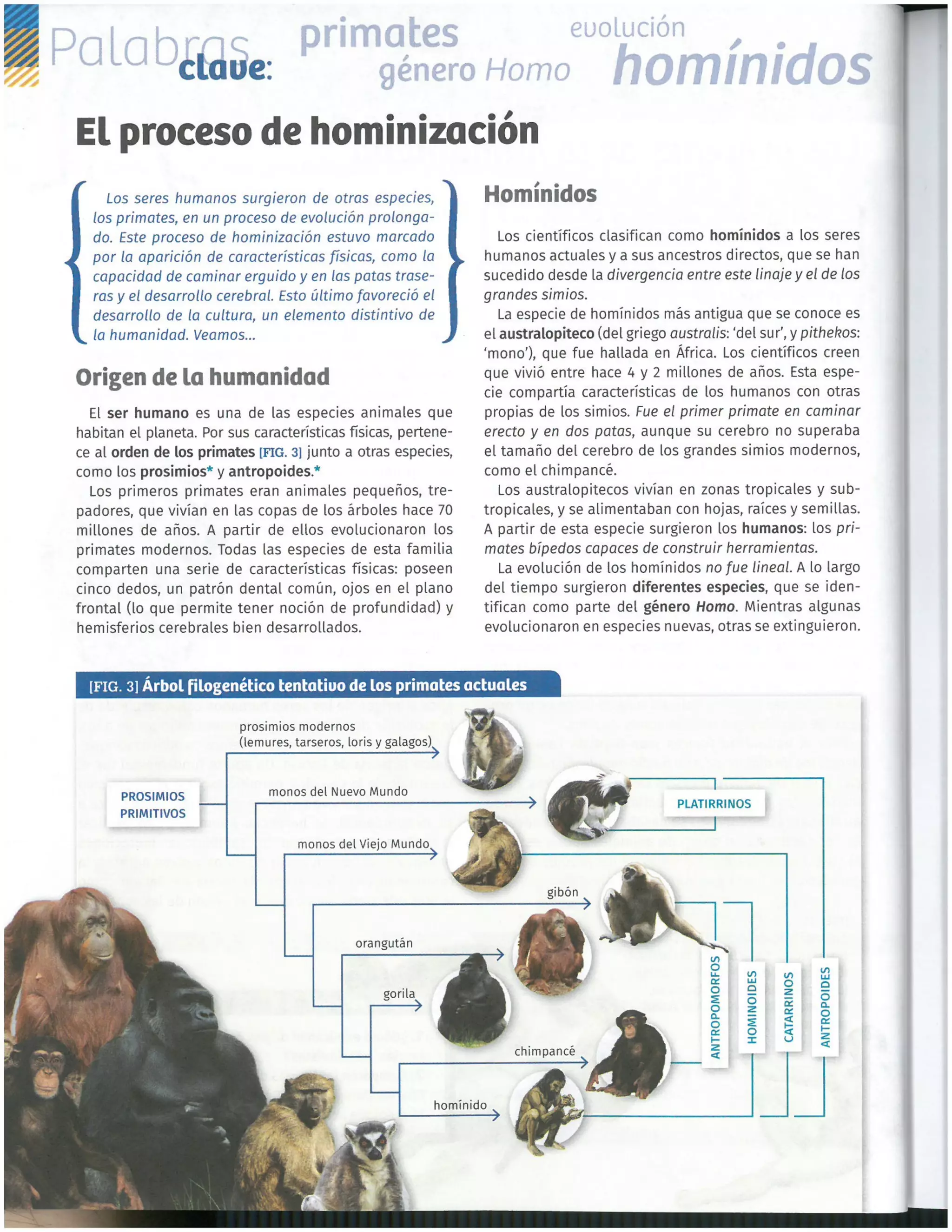 373863794-Historia-1-Editorial-Mandioca-DE-LA-PREHISTORIA-A-LA-EDAD ...