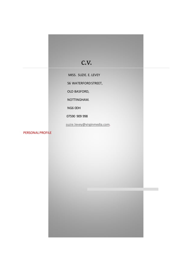 Suzie c.v | DOCX | Business | Business and Finance