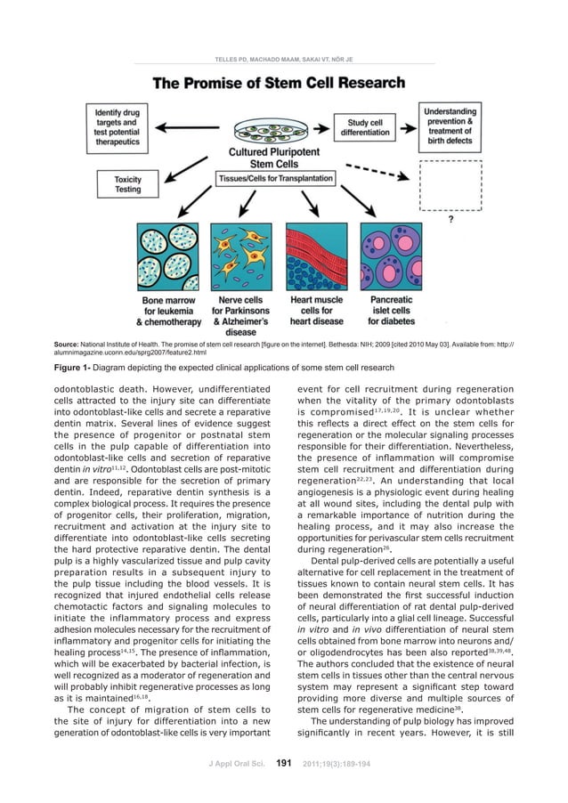 Pulp tissue from primary teeth: new source of stem cells | PDF