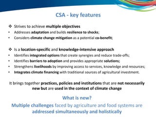 Transforming landscapes and food systems: Options for strengthening ...