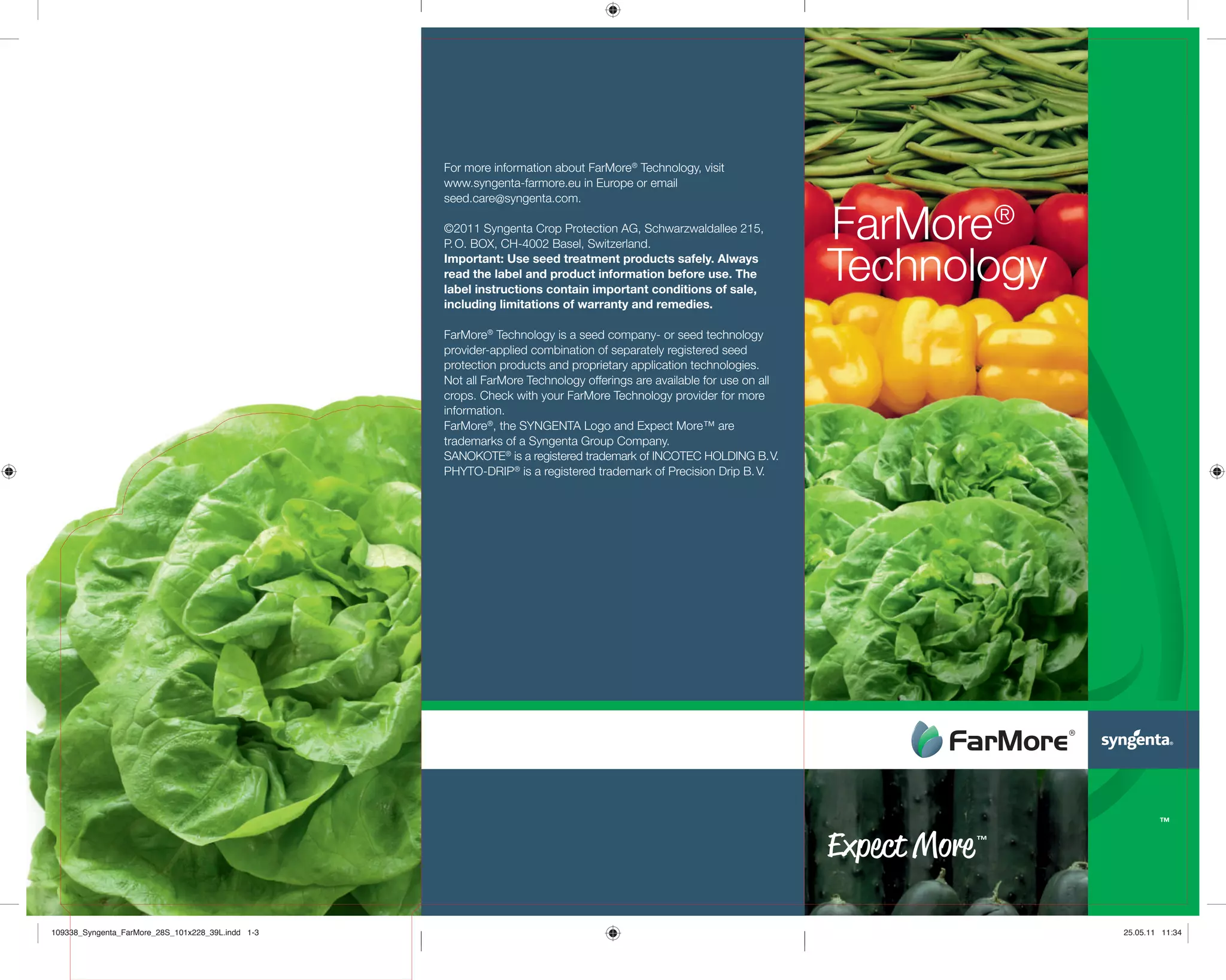 FarMore International brochure | PDF