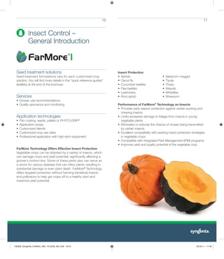 FarMore International brochure | PDF
