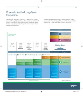 FarMore International brochure | PDF