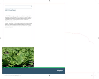 FarMore International brochure | PDF