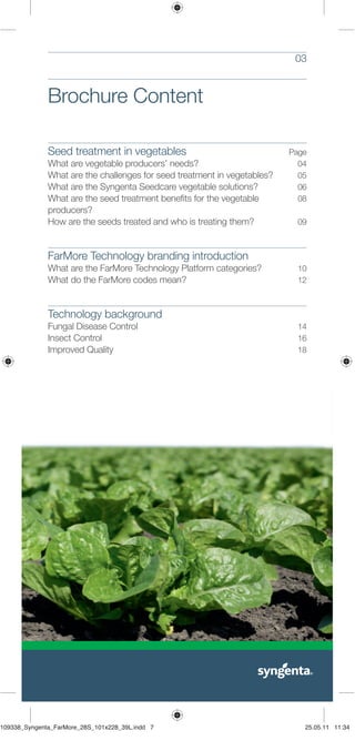 FarMore International brochure | PDF