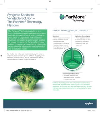FarMore International brochure | PDF