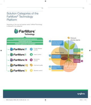 FarMore International brochure | PDF
