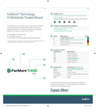 FarMore International brochure | PDF