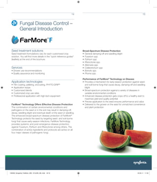 FarMore International brochure | PDF