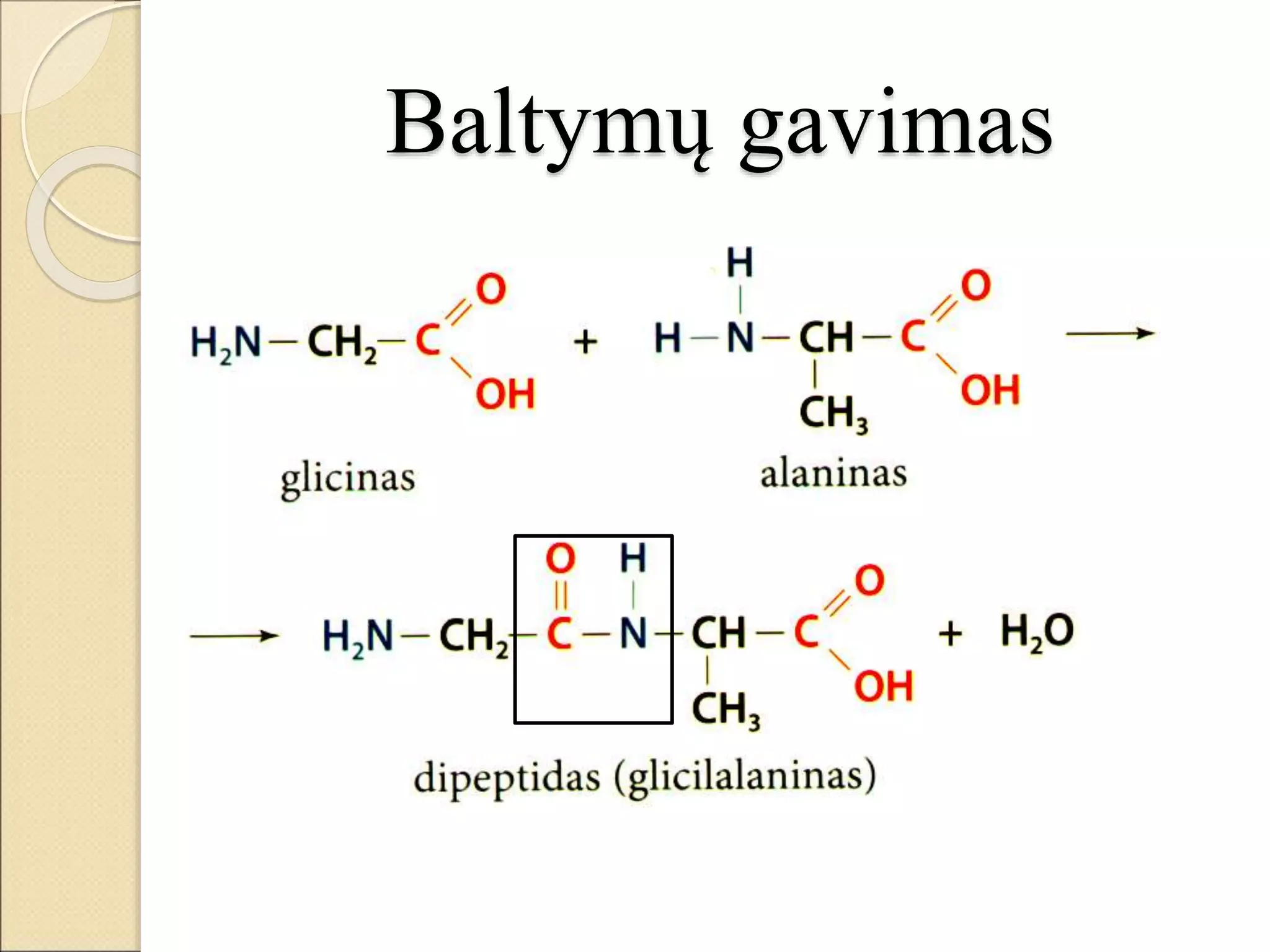 chemija-biologija | PPT