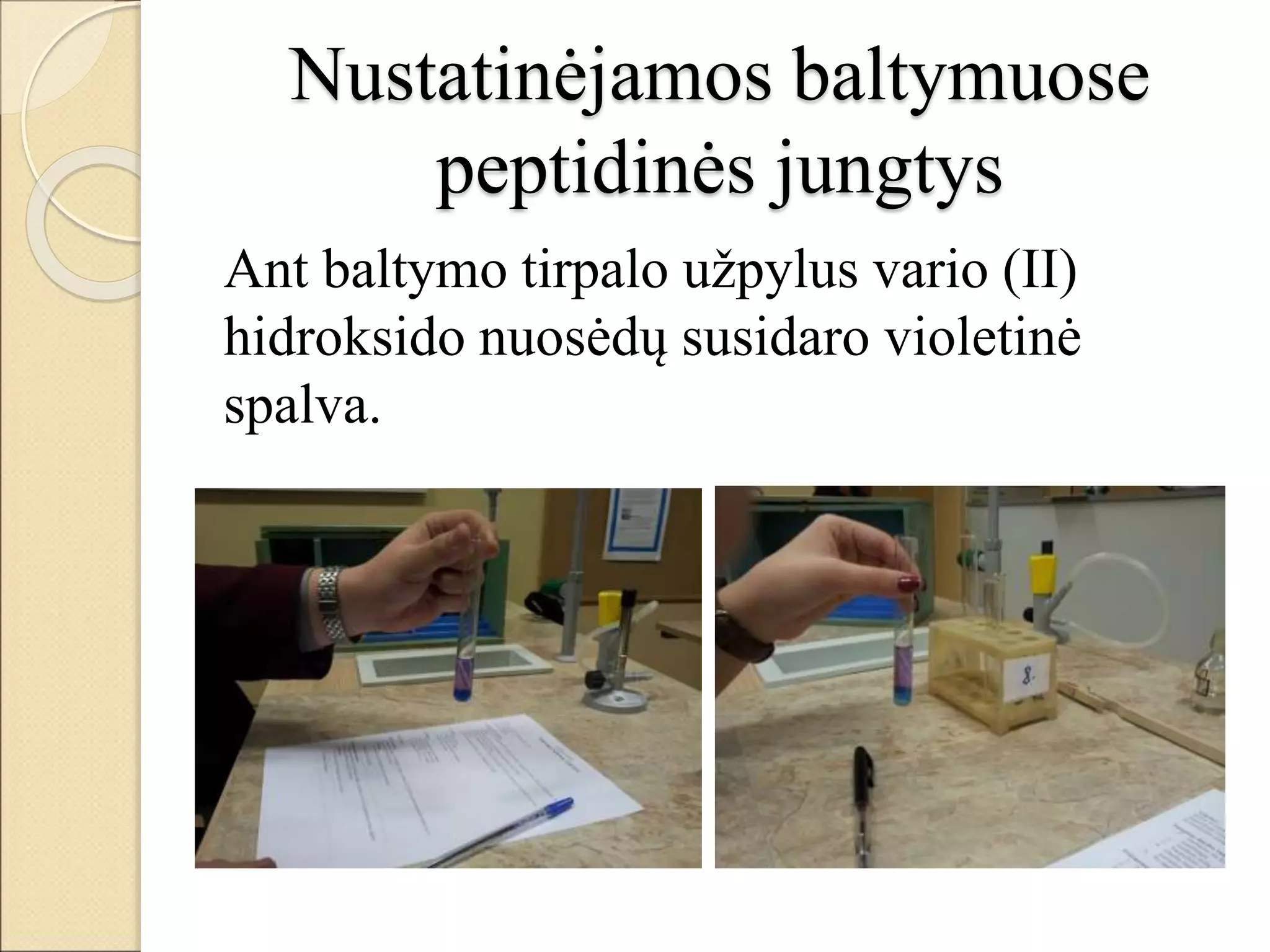 chemija-biologija | PPT