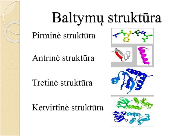 chemija-biologija | PPT