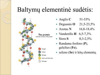 chemija-biologija | PPT