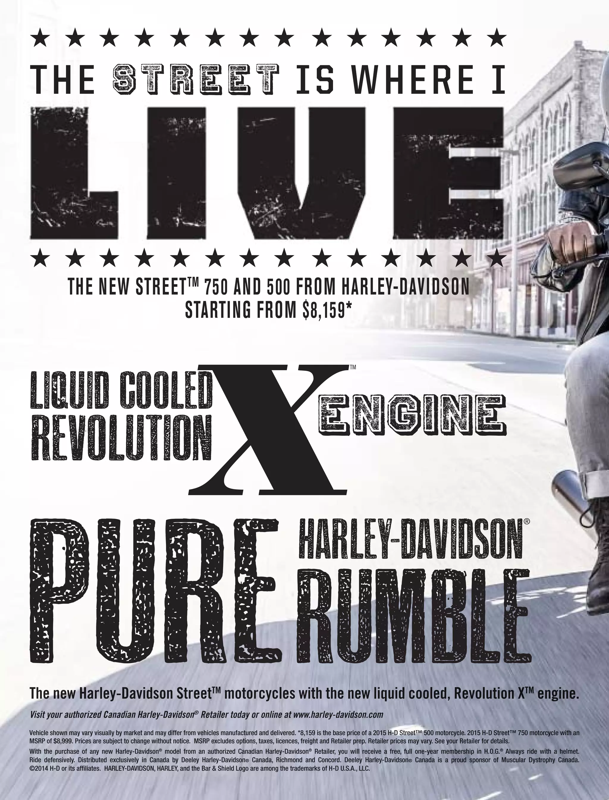 HOG_SPRING_2015_EN | PDF