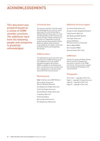 ICMM | PDF