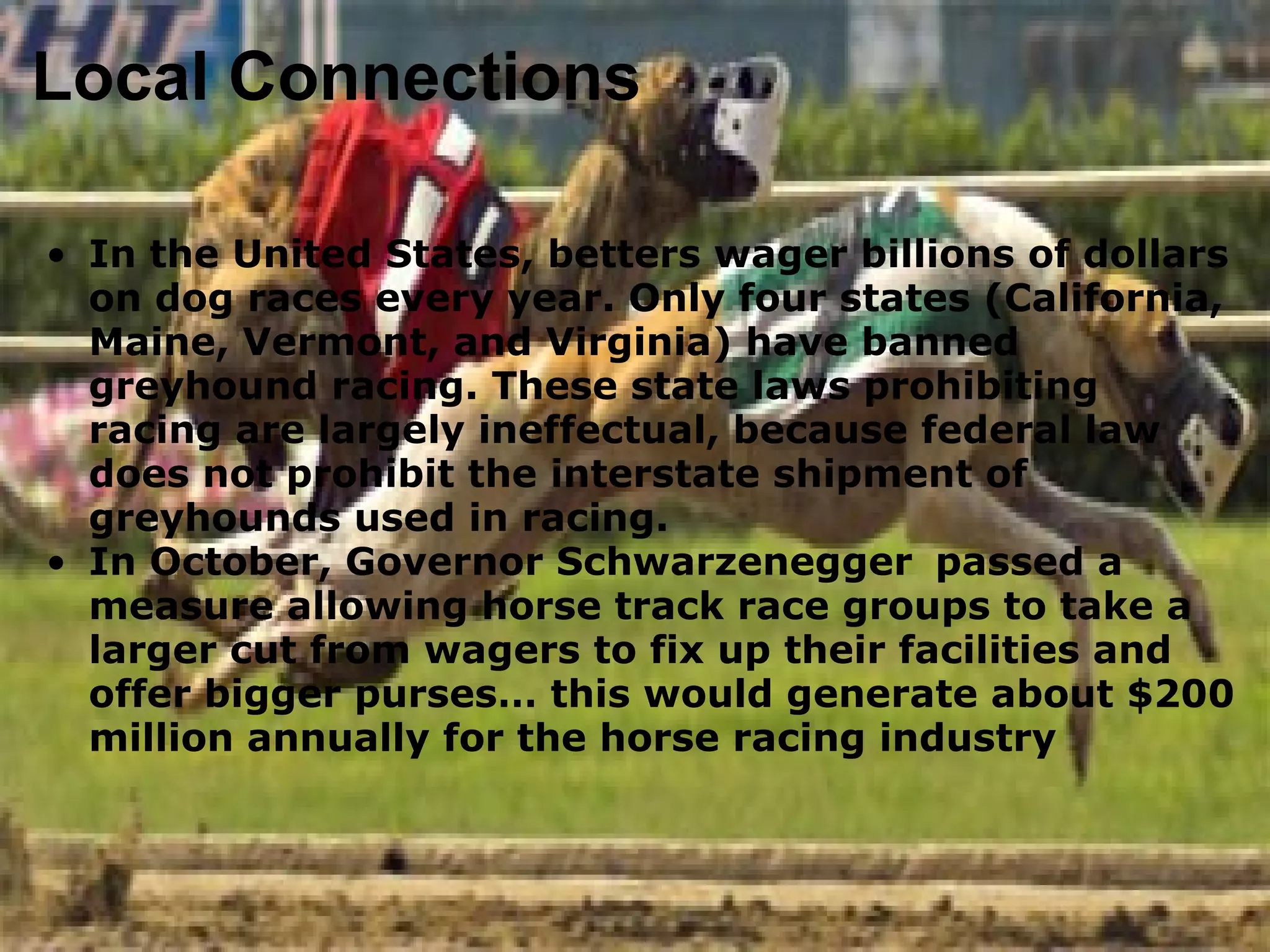 Animals for Races | PPT