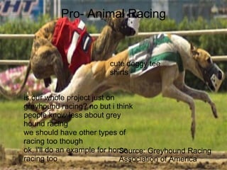 Animals for Races | PPT