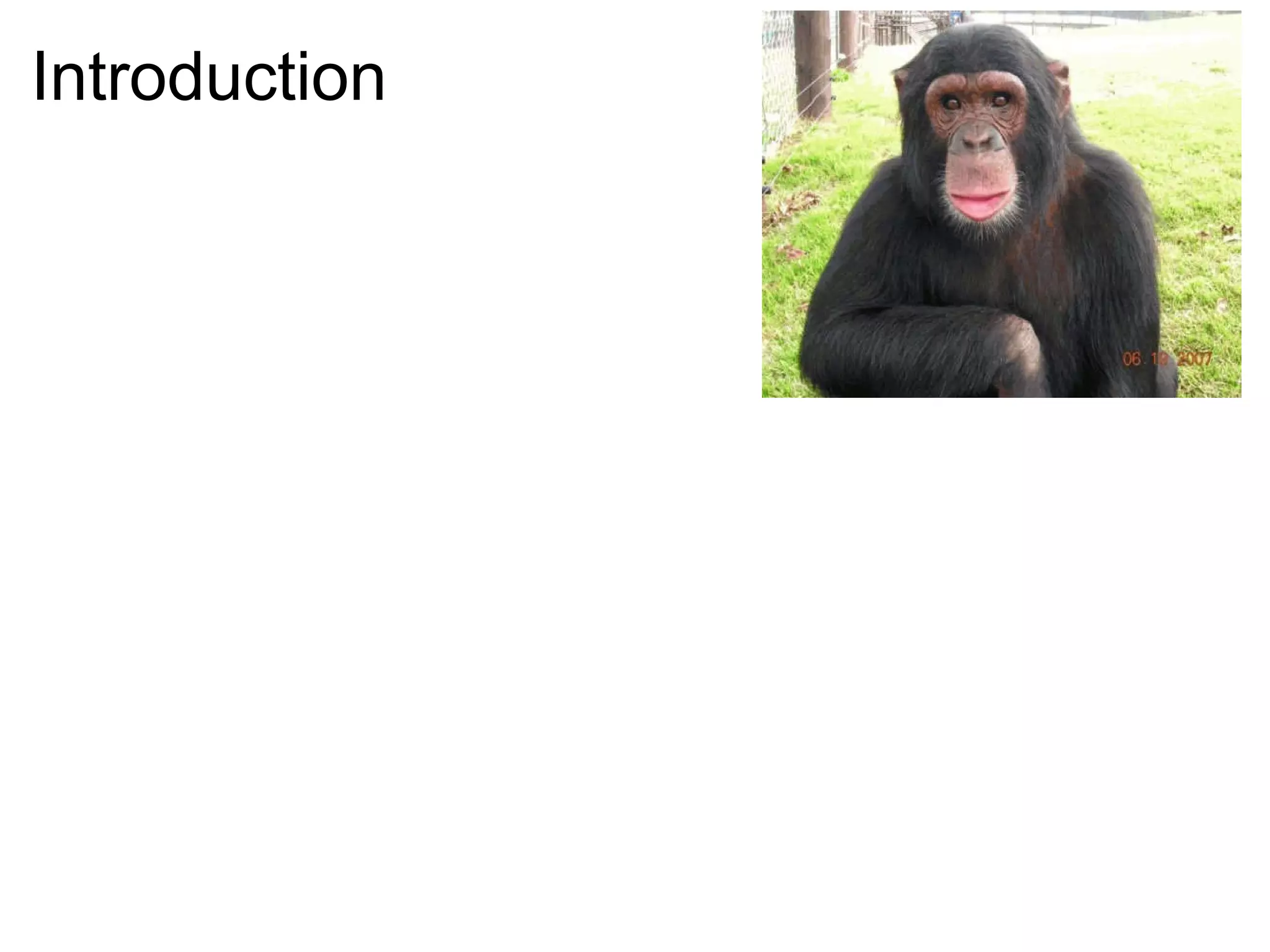 The Great Ape Project | PPT