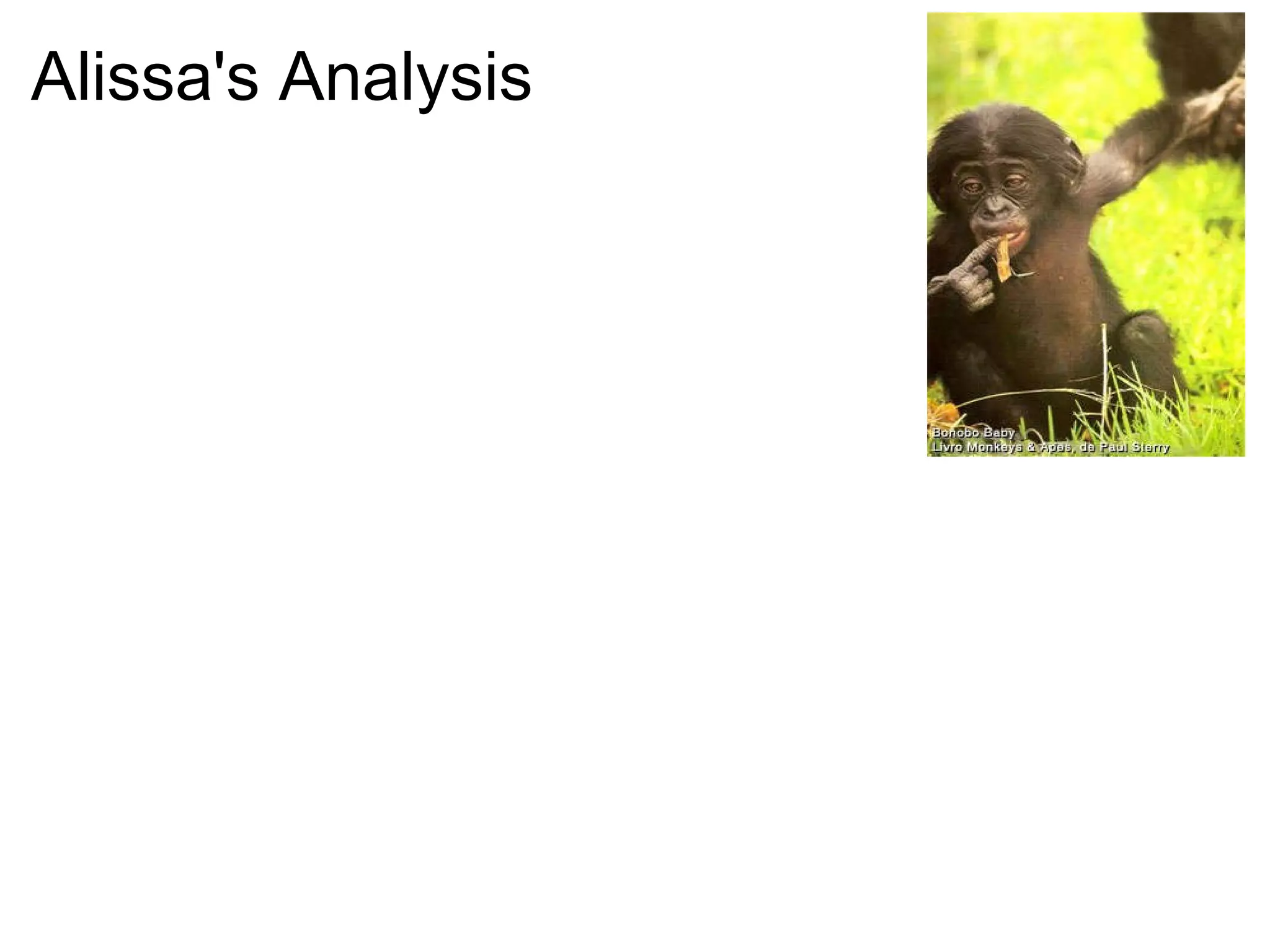 The Great Ape Project | PPT