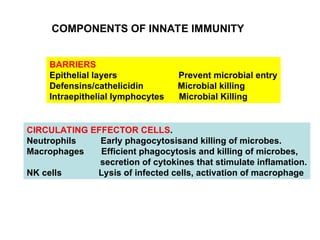 376453609-ABBAS-BAB-2-Innate-Immunity.ppt