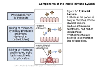 376453609-ABBAS-BAB-2-Innate-Immunity.ppt