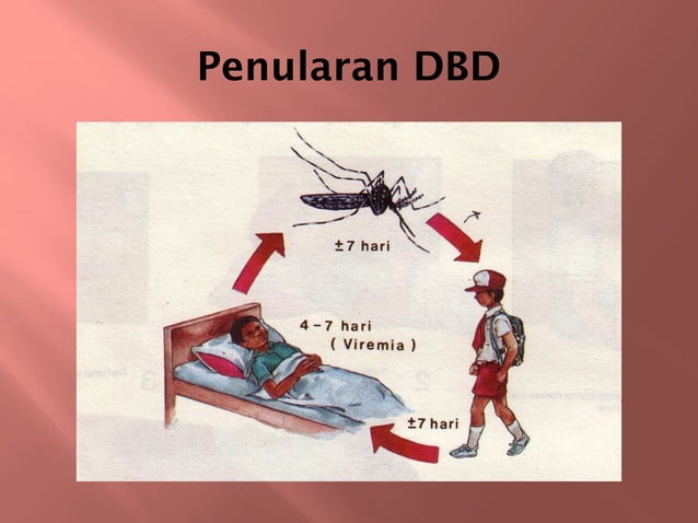 376770214-262763010-Penyuluhan-DBD-Untuk-Anak-SD-pptx.pptx