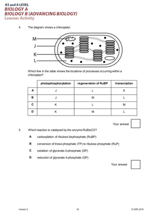 Chloroplast Diagram Worksheet