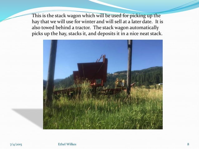 APP101_Wilkes_week3_assessment | PPTX | Agriculture | Industries