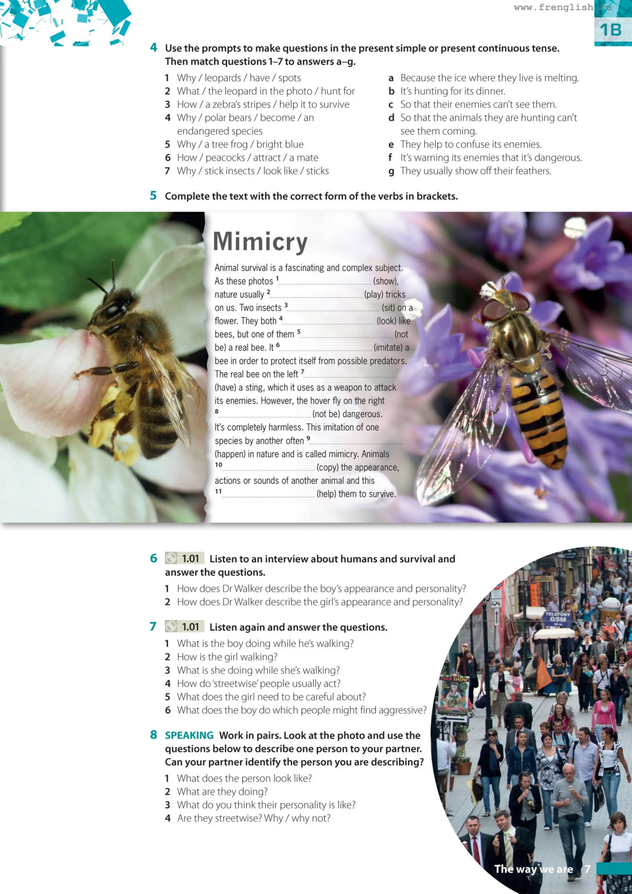 378484163-Insight-Intermediate-SB.pdf sb | PDF