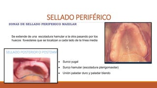 Musculos Paraproteticos, protesis, musculos | PDF