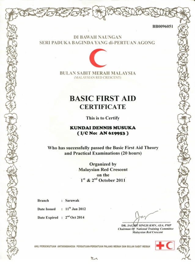 First Aid Certificate | PDF