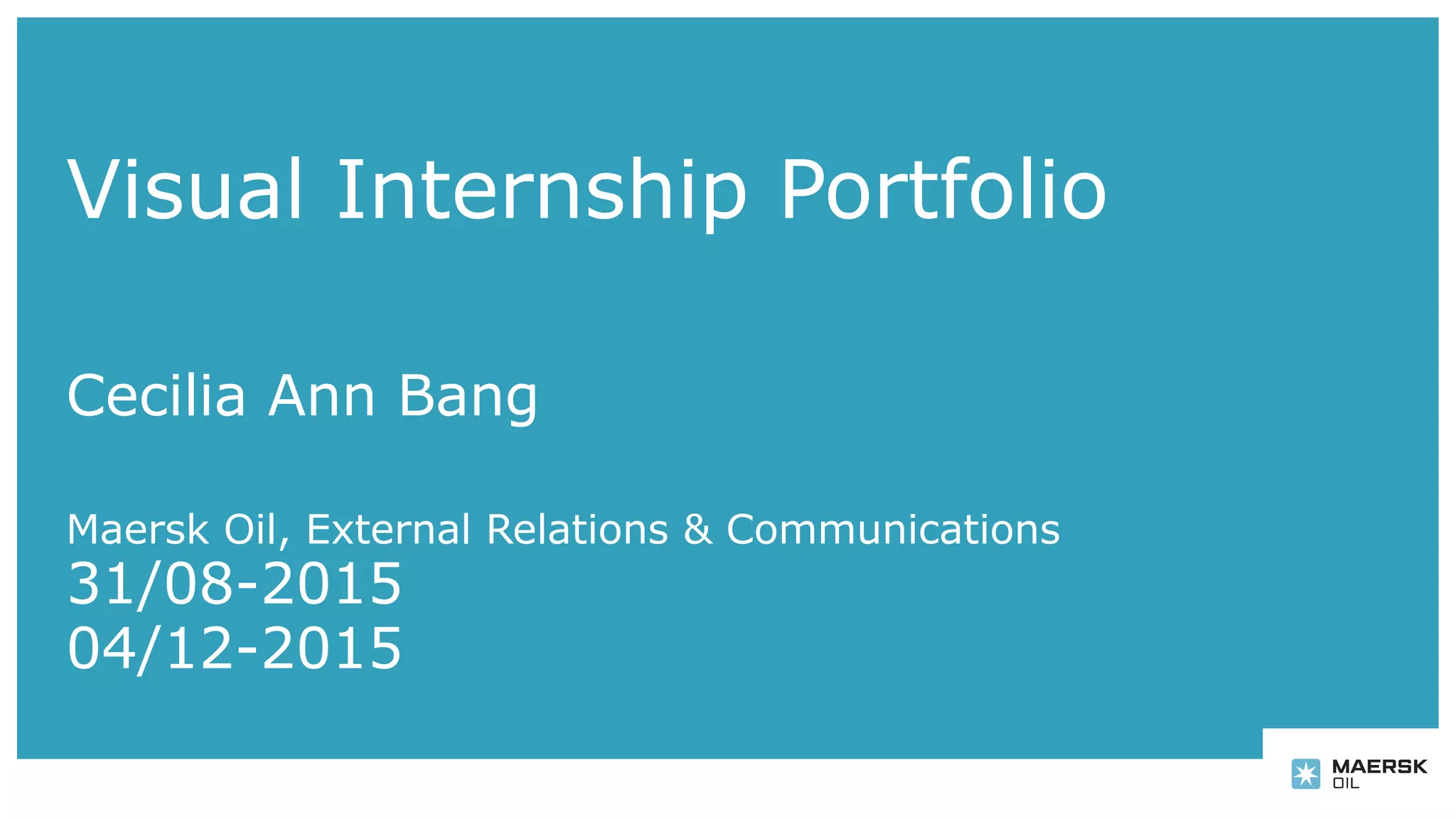 Visual Internship Portfolio | PDF