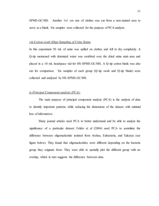FORENSIC IDENTIFICATION OF HUMAN URINE STAIN EVIDENCE USING ...