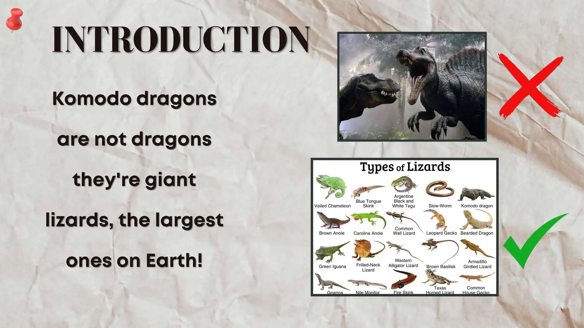 Komodo Dragon I PPT | PPTX