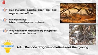 Komodo Dragon I PPT | PPTX