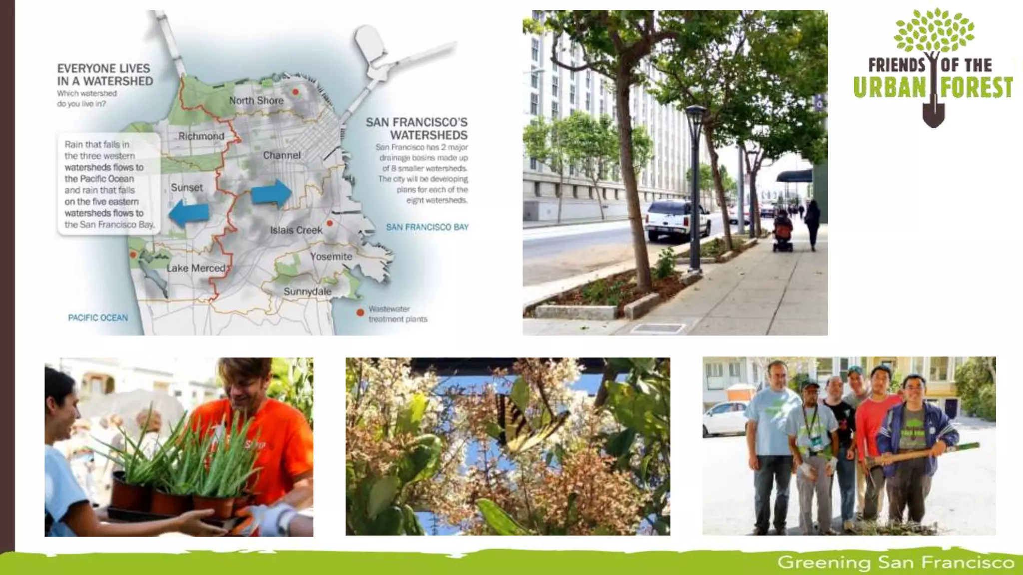 Wildlife Corridors in Urban Environments | PPTX