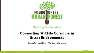 Wildlife Corridors in Urban Environments | PPTX
