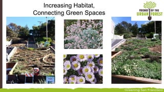 Wildlife Corridors in Urban Environments | PPTX