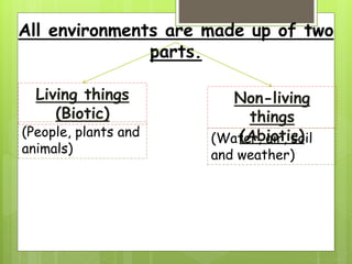 37living things in their environment | PPTX