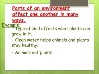 37living things in their environment | PPT