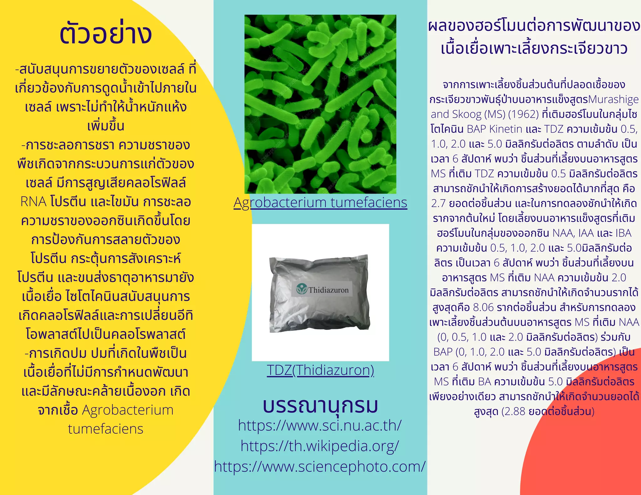 38 155 brochure | PPT