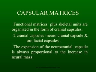 Functional matrix theory | PPT
