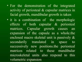 Functional matrix theory | PPT