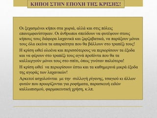 ΜΑΡΙΑ ΠΑΠΑΔΟΠΟΥΛΟΥ ΣΧΟΛΙΚΗ ΣΥΜΒΟΥΛΟΣ 38ης ΠΕΡΙΦΕΡΕΙΑΣ ΣΧΟΛΙΚΟΣ ΚΗΠΟΣ ...