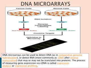 Recombinant DNA technology AS PCI SYLLABUS | PPTX
