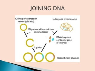 Recombinant DNA technology AS PCI SYLLABUS | PPTX